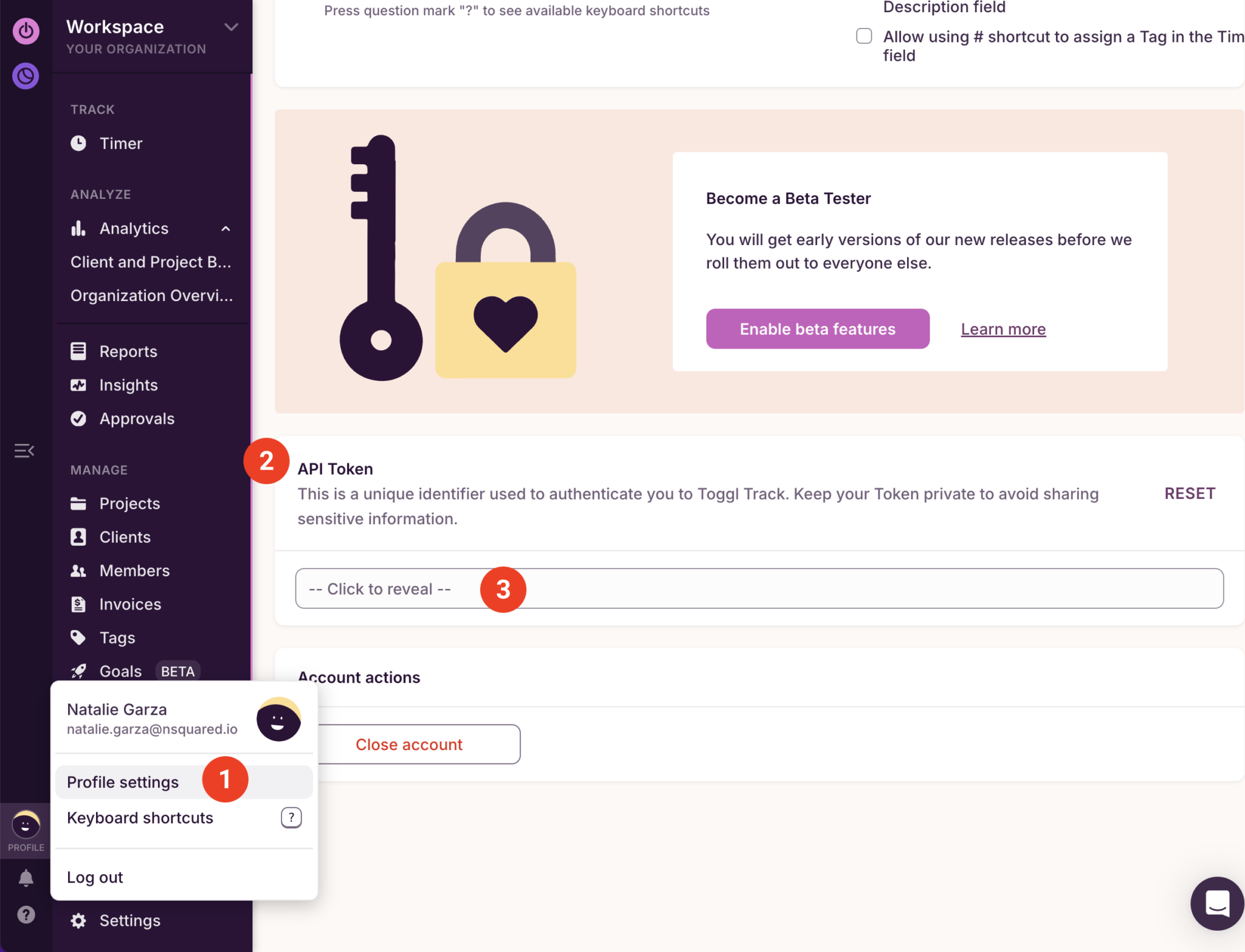 Toggl Connection - BlinkMetrics